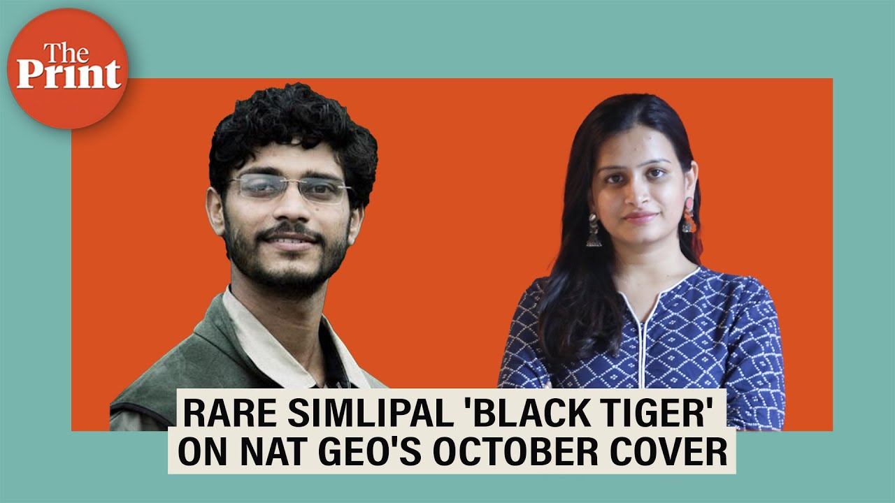 Rare 'black tiger' from Odisha's Simlipal forests on Nat Geo cover—the ...