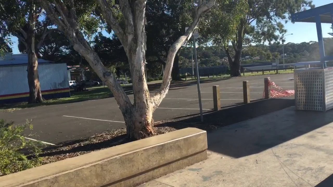 Shellharbour NSW Skatepark - YouTube