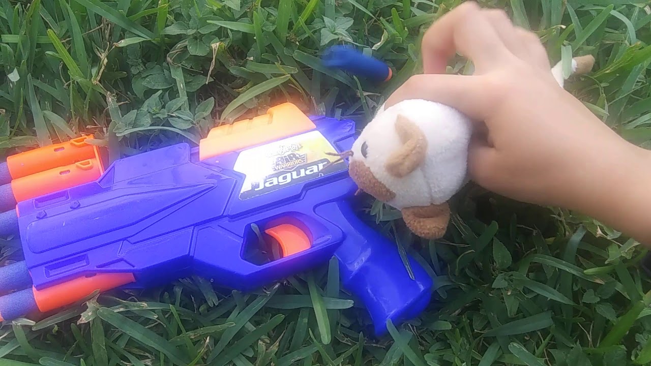 Animal Adventures ep 8: Nerf War (Short) - YouTube