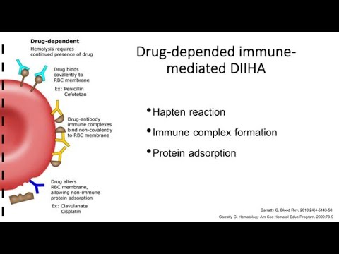 Drug Induced Hemolytic Anemia as a type of Alloimmune Hemolytic Anemia ...