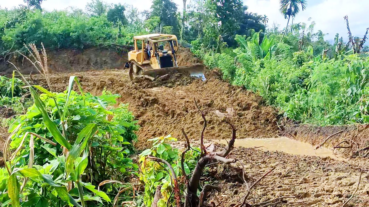Making Your Way on the Palm Terrace D6R XL Bulldozer Works Very Easily ...