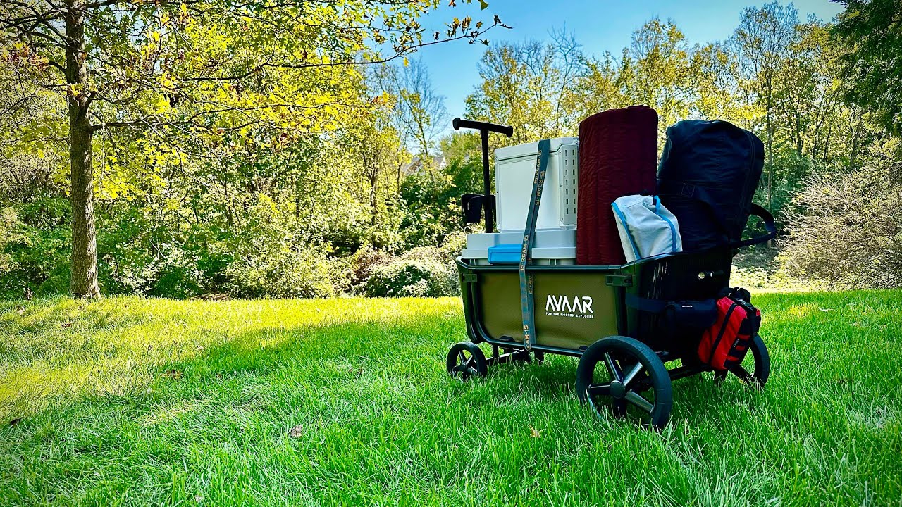 Discover the Avaar Cart: A New Era of Exploration Unboxed! @Avaar ...