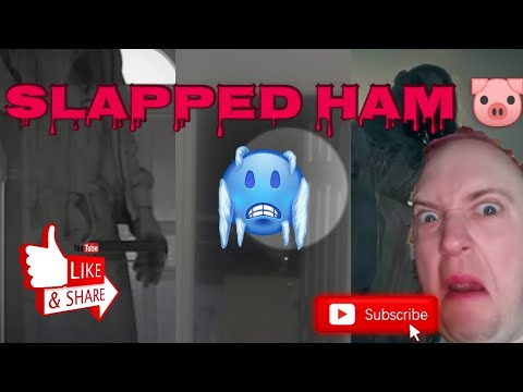 My reaction to a Slapped Ham: Viewers can't believe what they caught on ...