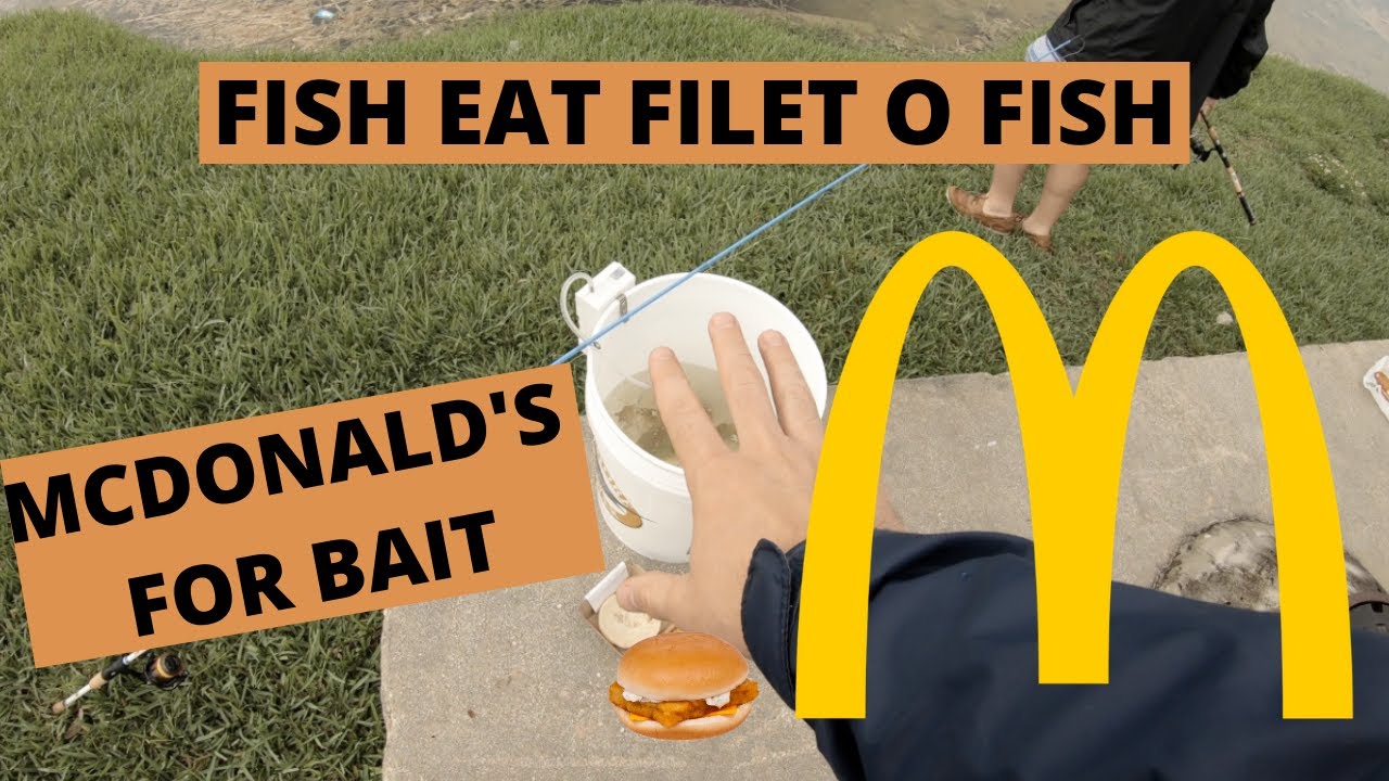 Using MCDONALD'S to catch our bait! Filet O Fish & McChicken work ...