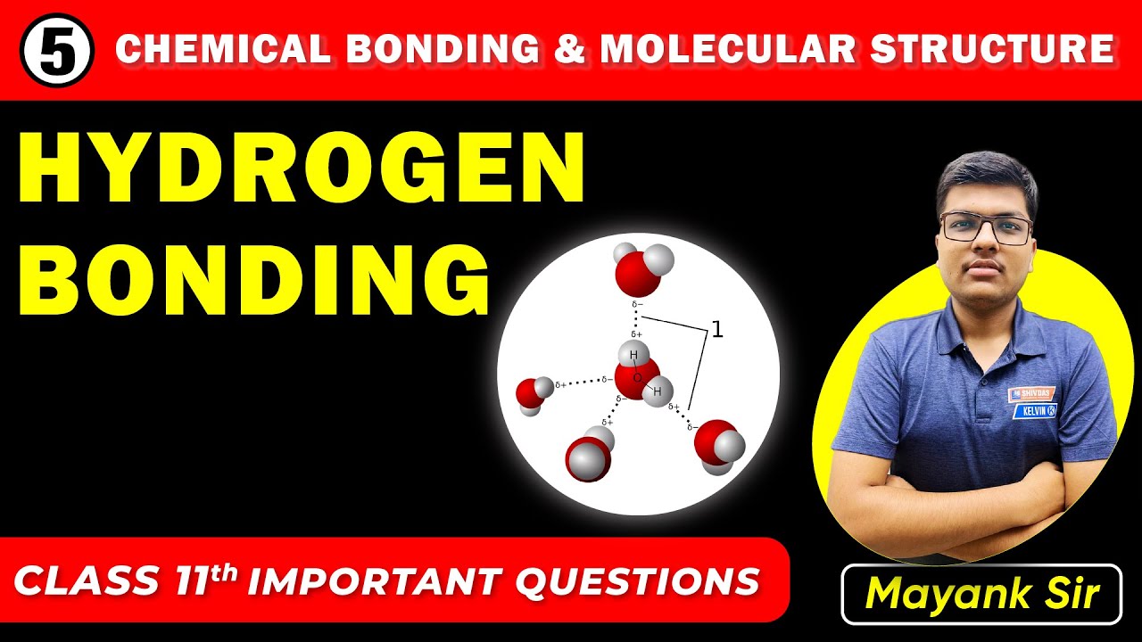 #5 | Chemical Bonding - Hydrogen Bonding Important Questions Class 11 ...