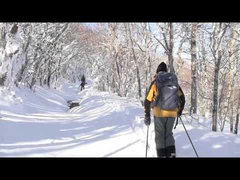 Winter On Mount Mitchell: Cross country skiing NC - YouTube