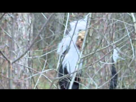 Der Yeti Song + video.mp4 - YouTube