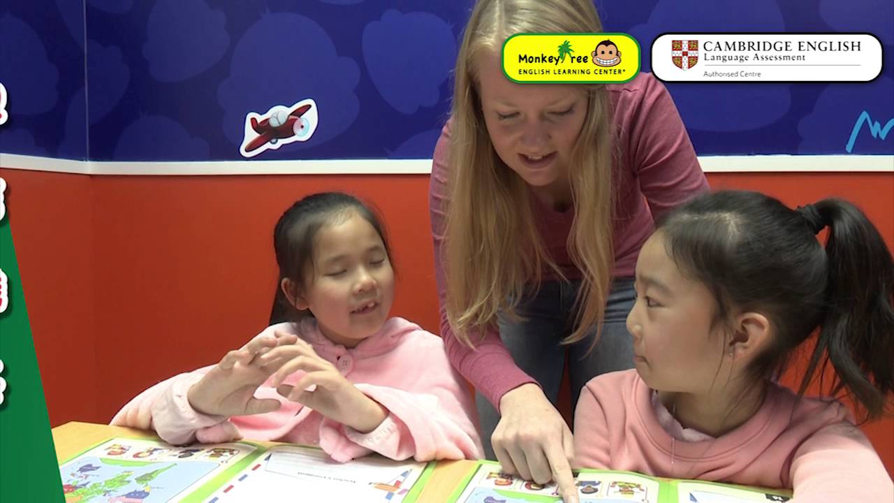 Summer Cambridge English Preparation Course - Monkey Tree English ...