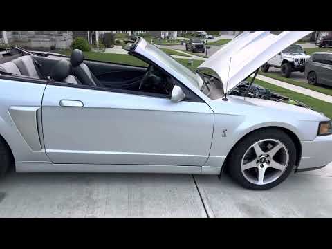 2003 Ford Mustang SVT Cobra Convertible for Sale - Cars & Bids