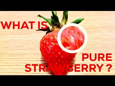 Strawberry without seeds? - YouTube