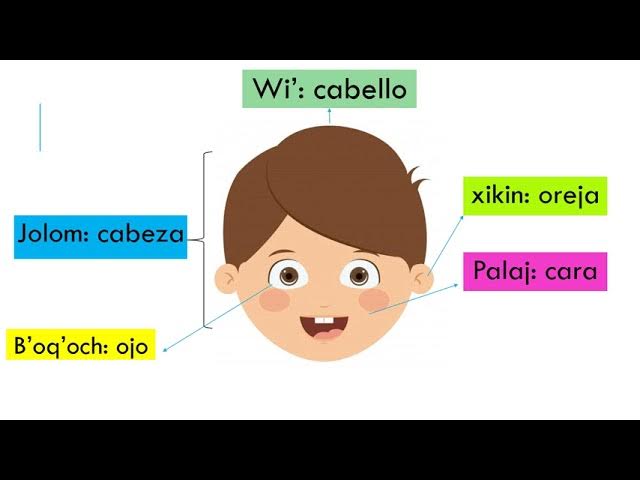 Partes Del Cuerpo En Kaqchikel Worksheet Live Worksheets, 43% OFF Partes Del Cuerpo En Kaqchikel Worksheet Live Worksheets, 43% OFF