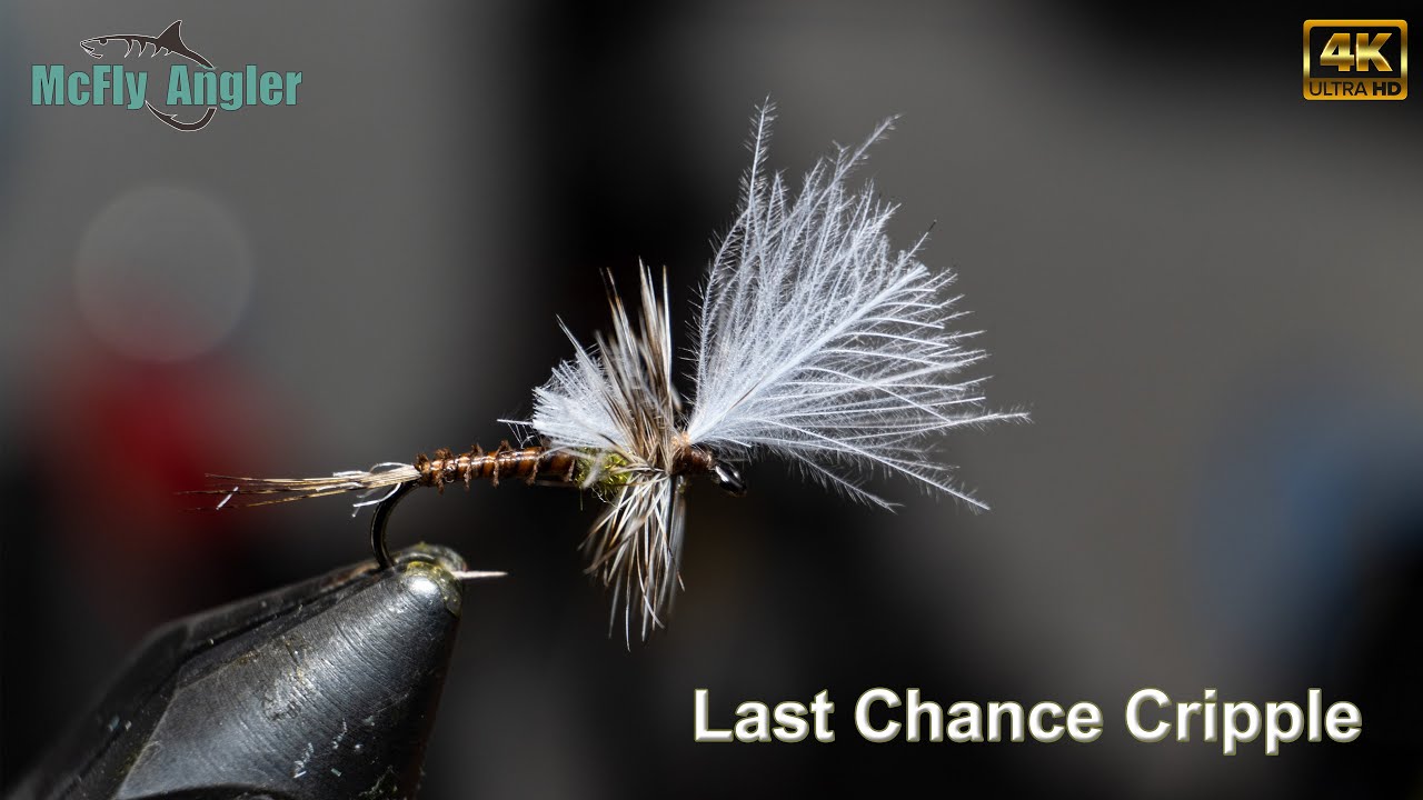Last Chance Cripple - Dry Fly for a Mayfly Hatch - McFly Angler Fly ...