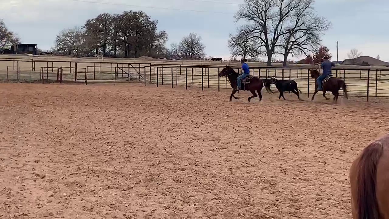 Bar JB - 2020 by Joshlyn Braswell - YouTube