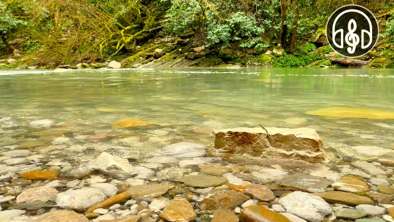Sounds of a mountain river. 30 minutes of video in 4K for relaxation ...