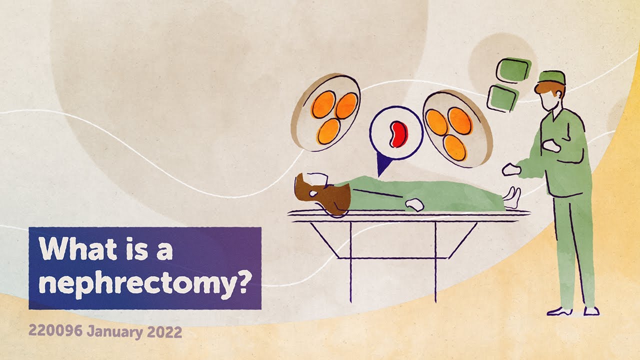 What is a nephrectomy? [PART 2 - VIDEO 4] - YouTube