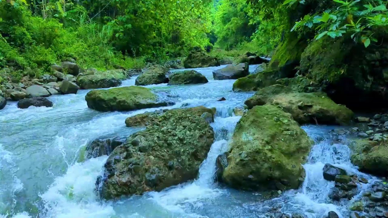 Crystal Clear River Stream ASMR | Waterfall Sounds for Healing & Inner ...