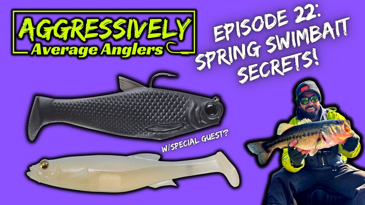 Aggressively Average Anglers Podcast Episode 22: Spring Swimbait ...