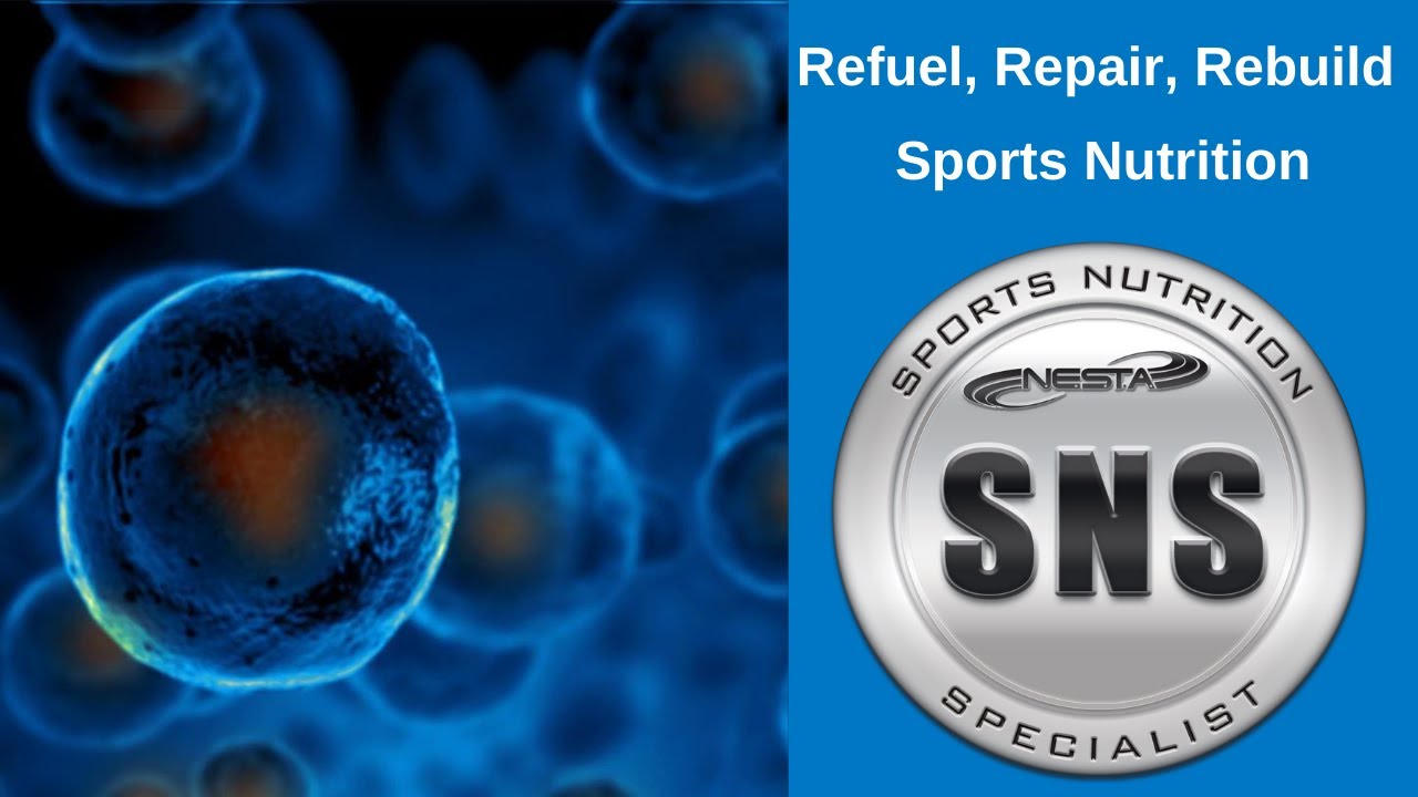 Refuel, Repair and Rebuild the Body with Optimal Sports Nutrition and ...
