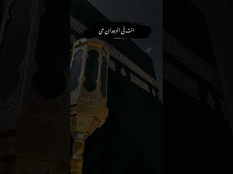ya habibi ya Mohammed//WhatsApp status
