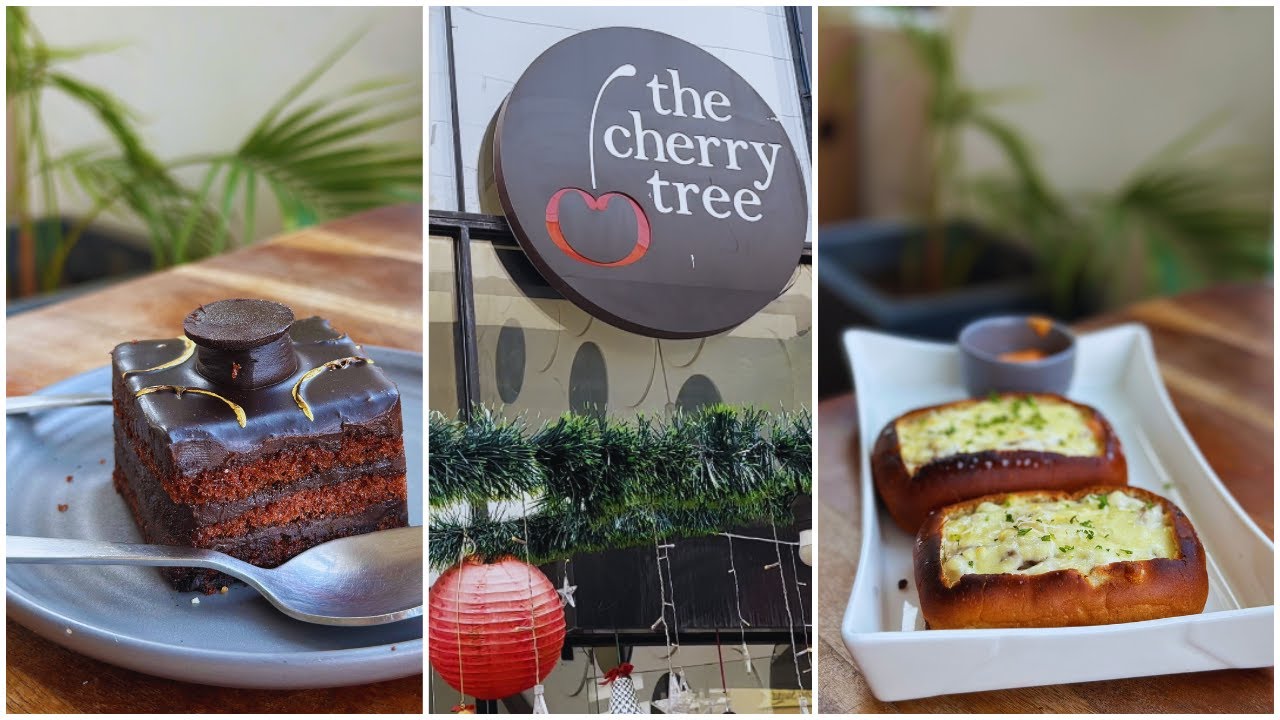 Exploring Cherry Tree Cafe: The Best Cafe and Restaurant in Lucknow ...