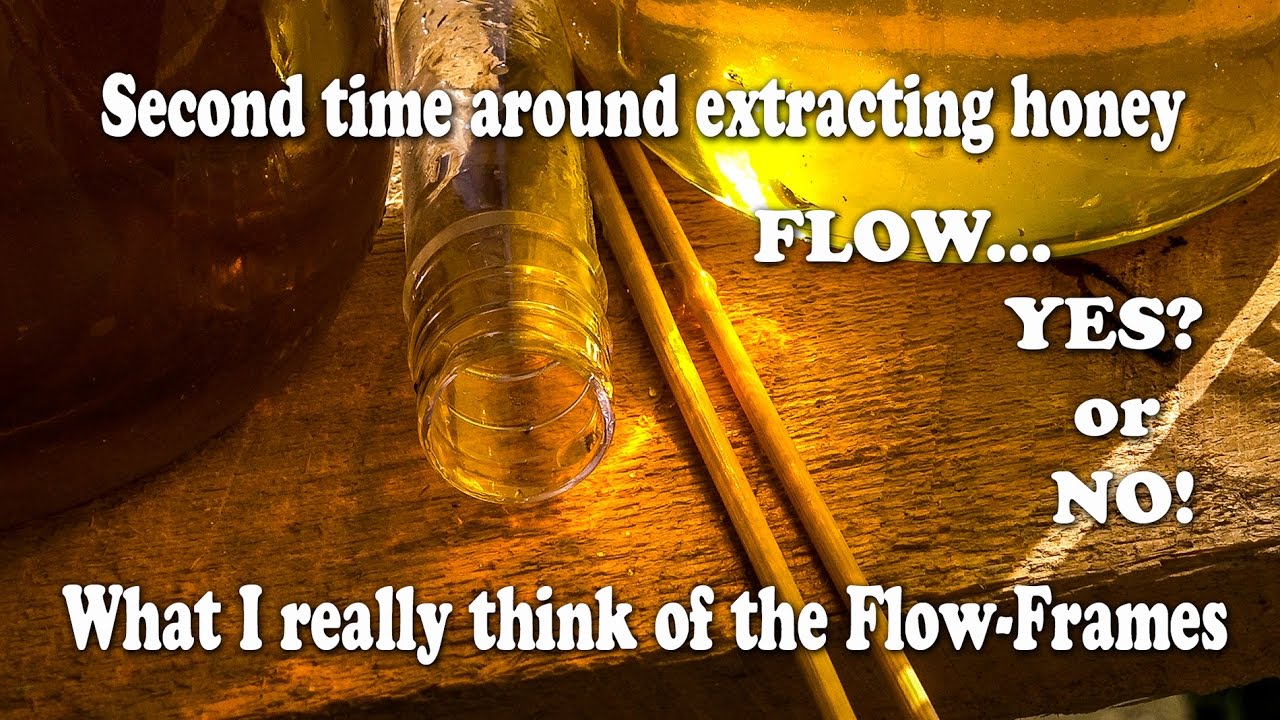 The Flow Hive for Honey Bees 2nd Honey Harvest Review and Testing - YouTube