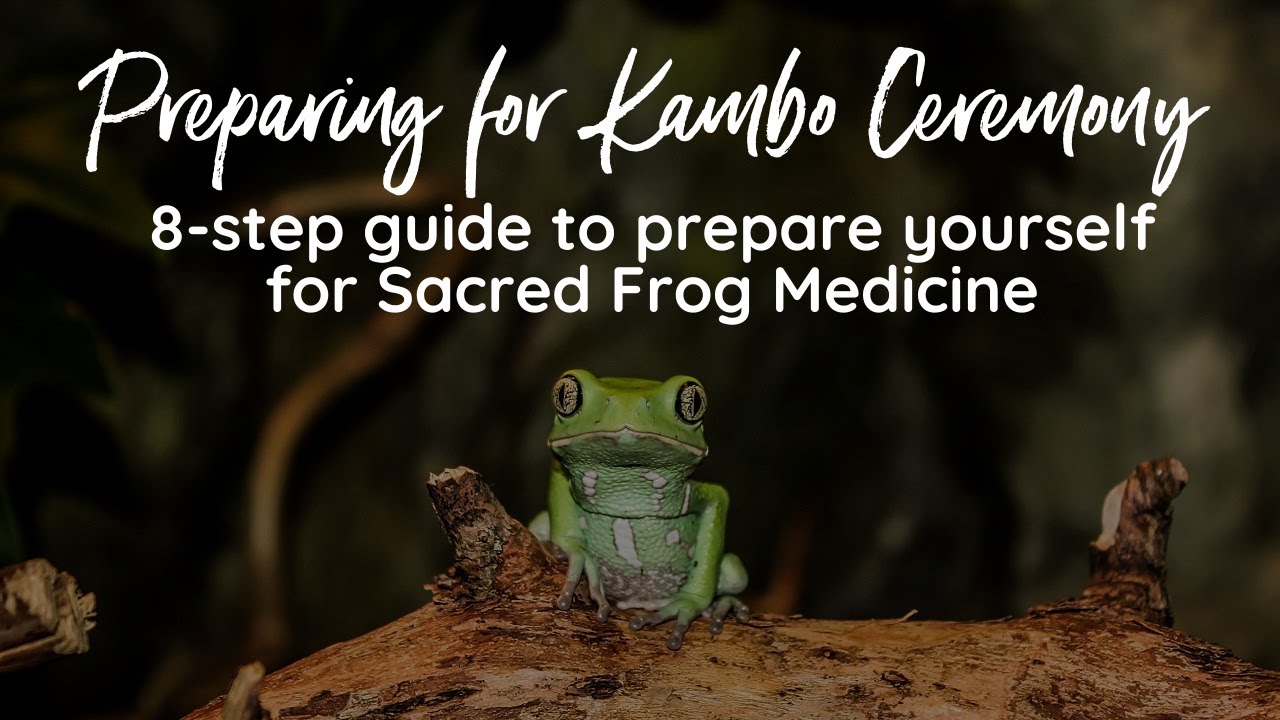 Preparing for Kambo Ceremony: 8-step guide to prepare yourself for ...