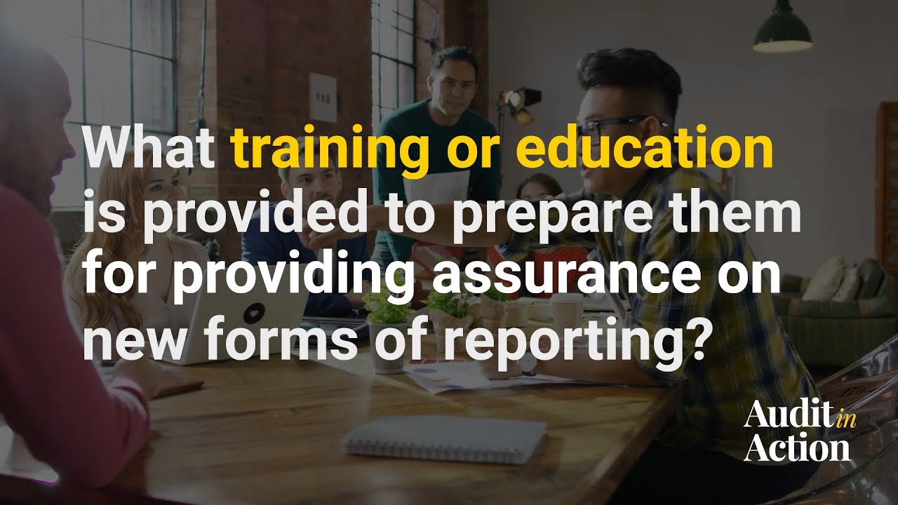 Audit in Action | The Auditor of the Future: Part 2 - YouTube