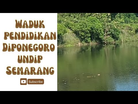 WADUK PENDIDIKAN DIPONEGORO UNDIP #shortsvideo #shorts #undip #waduk # ...