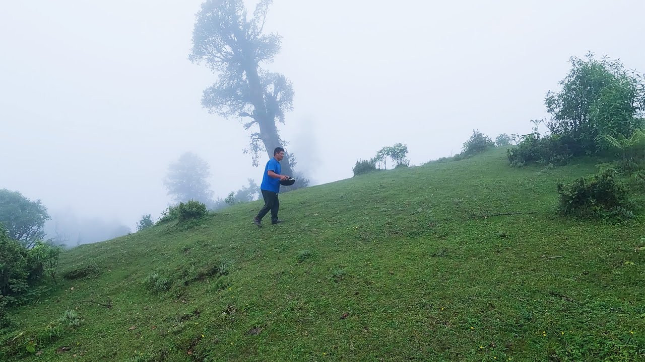 Koich kanchha in the Himalayan Nepal @bhumicooking - YouTube