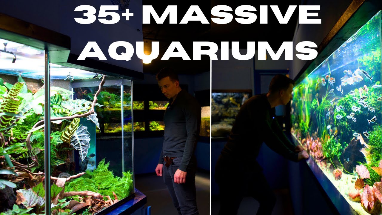 UNDERGROUND AQUARIUM - XXL FISH TANK COLLECTION - YouTube