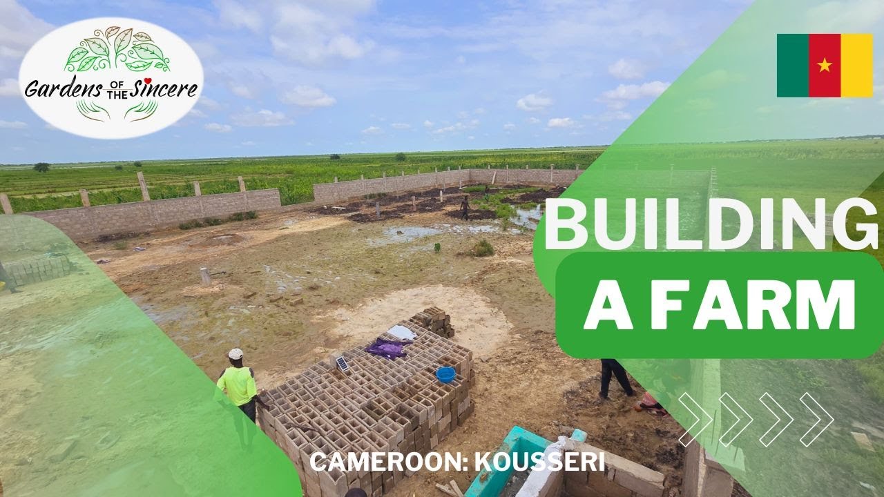 Walk-through in the construction site of our farm in Cameroon - YouTube