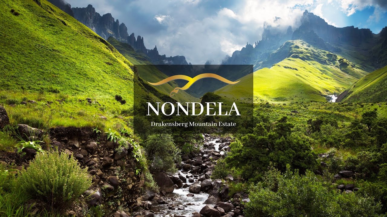 NONDELA PREVIEW - YouTube