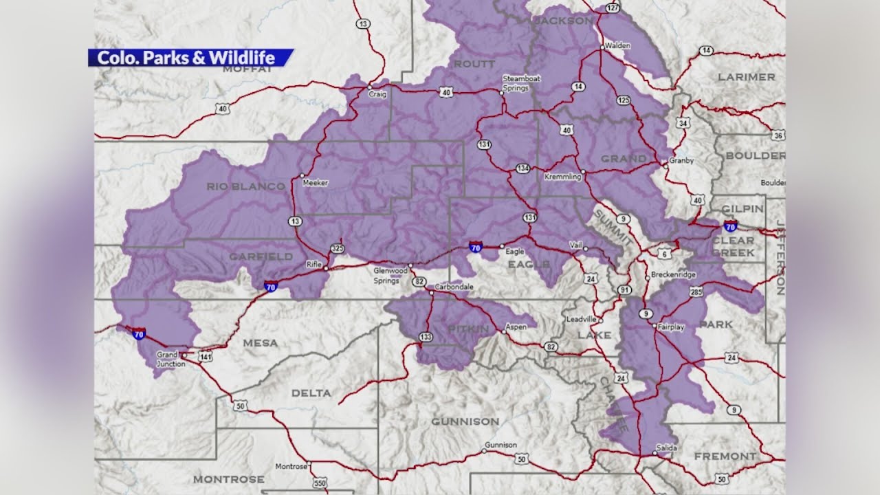 Colorado’s gray wolves edge closer to Denver metro - YouTube