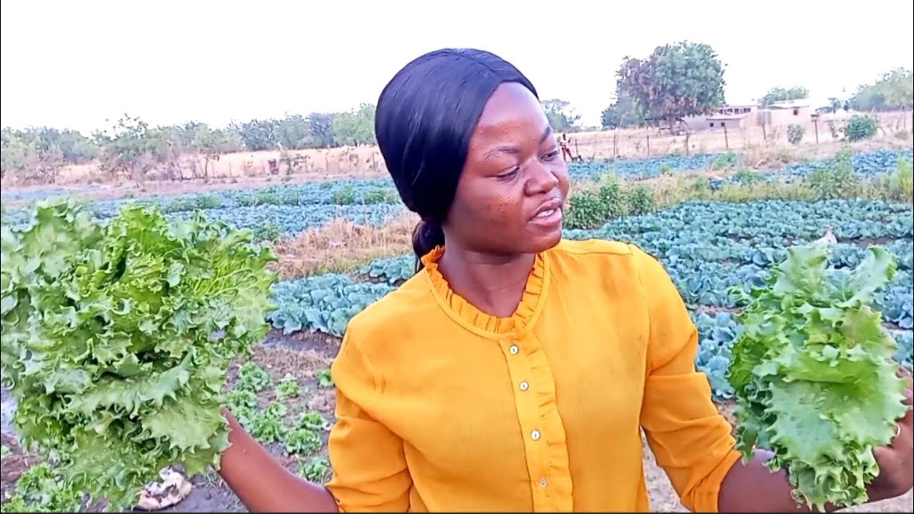COME WITH US TO THIS BEAUTIFUL VILLAGE GARDEN FULL OF VEGETABLES # ...