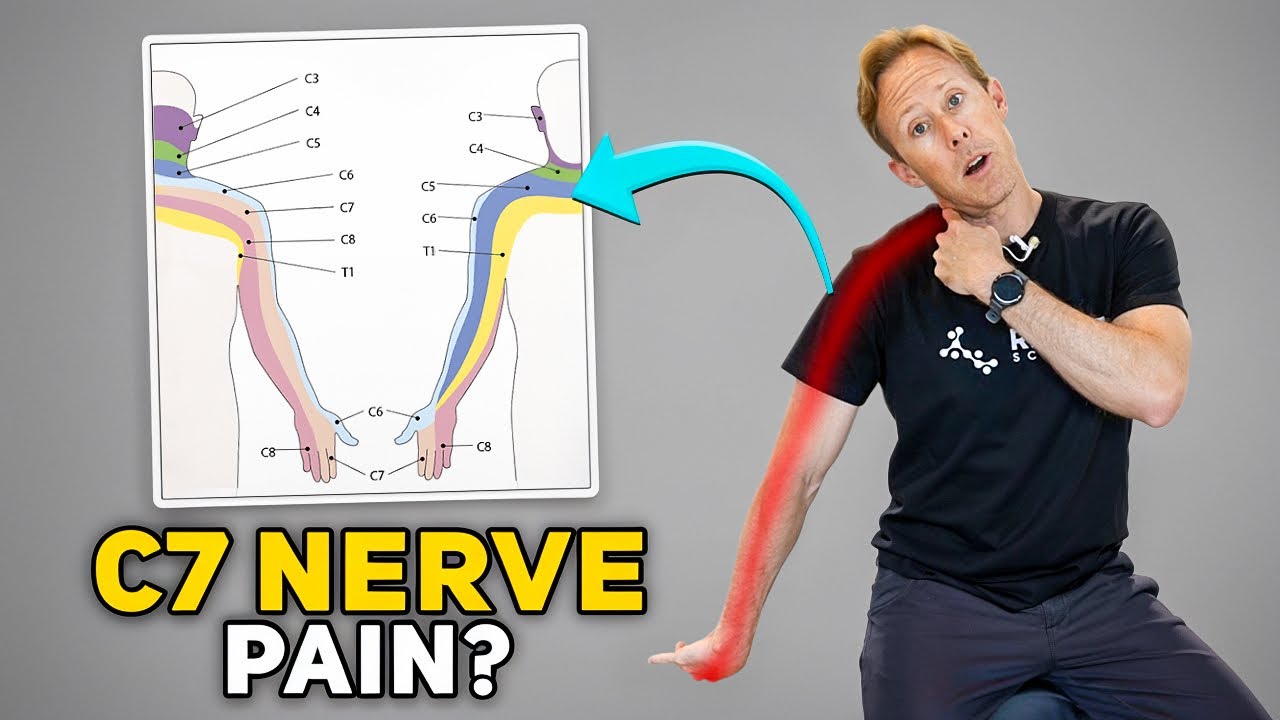 C7 Nerve Root Pain Explained + 4 Exercises to Help Relieve Symptoms ...
