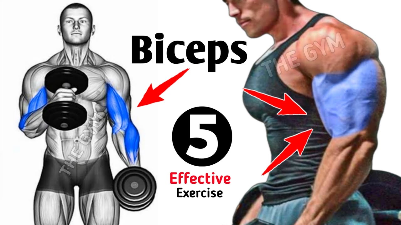 5 Best Exercises For Biceps Workout At Gym - YouTube