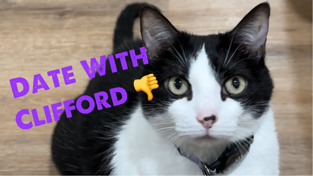 Clifford Can Hit The Road - YouTube