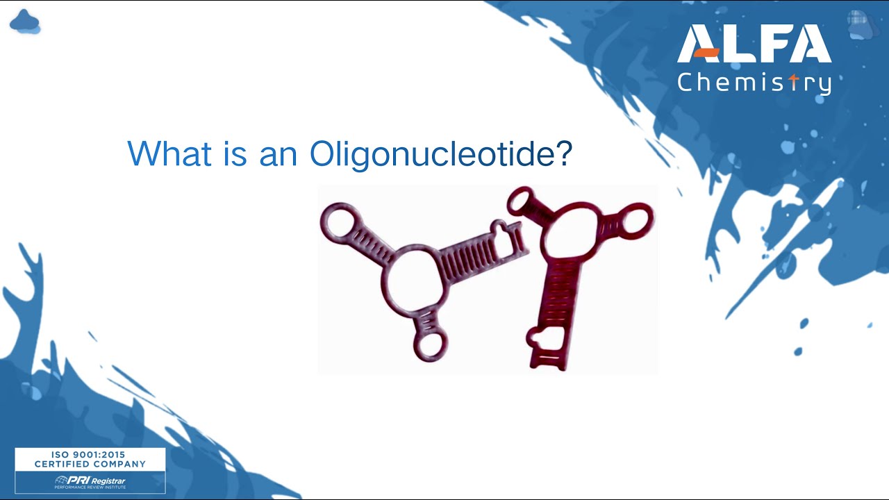 What is an Oligonucleotide? - YouTube