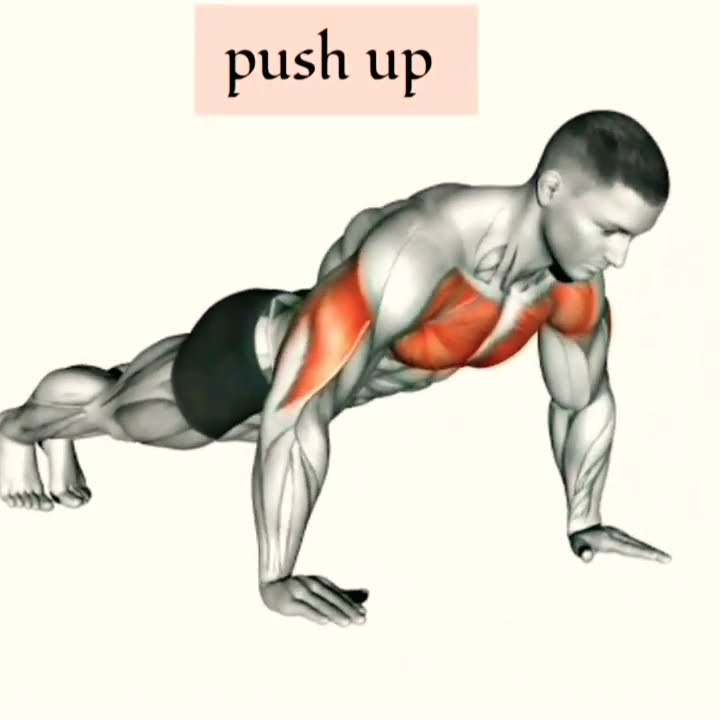 Push up 3d animation video #workout #trending #3danimation #shorts ...