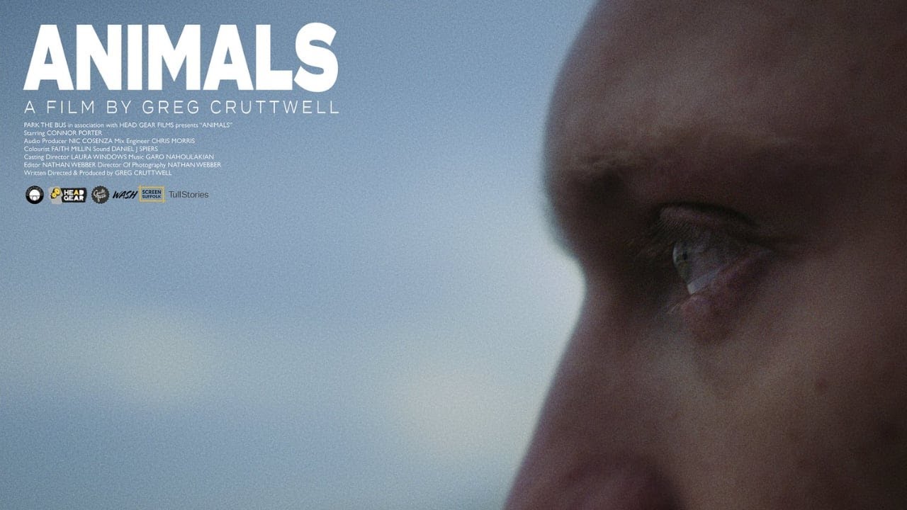 Animals // Official Trailer - YouTube