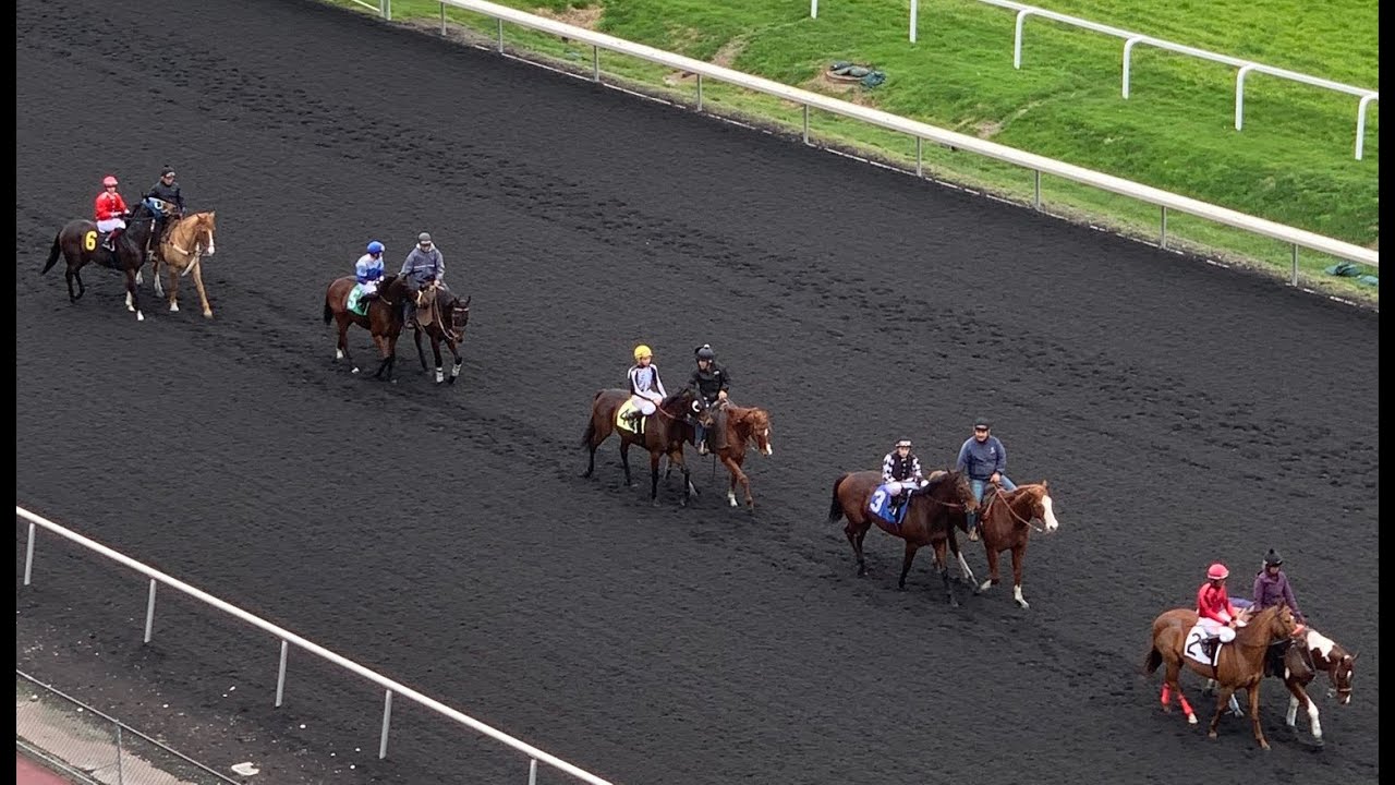 Golden Gate Fields Resumen - 29 de Diciembre 2019 - YouTube