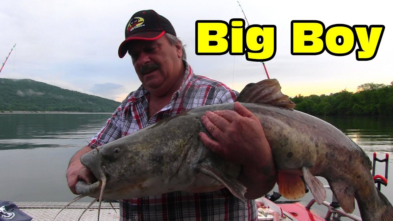 Finding and catching BIG River Catfish - YouTube