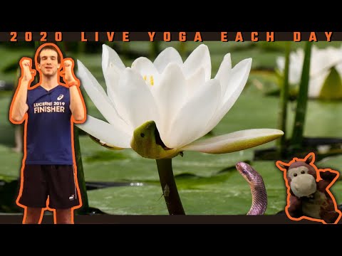 Nurturing | Yoga with Marcel & Shawn - Day 193 | Challenge 2020