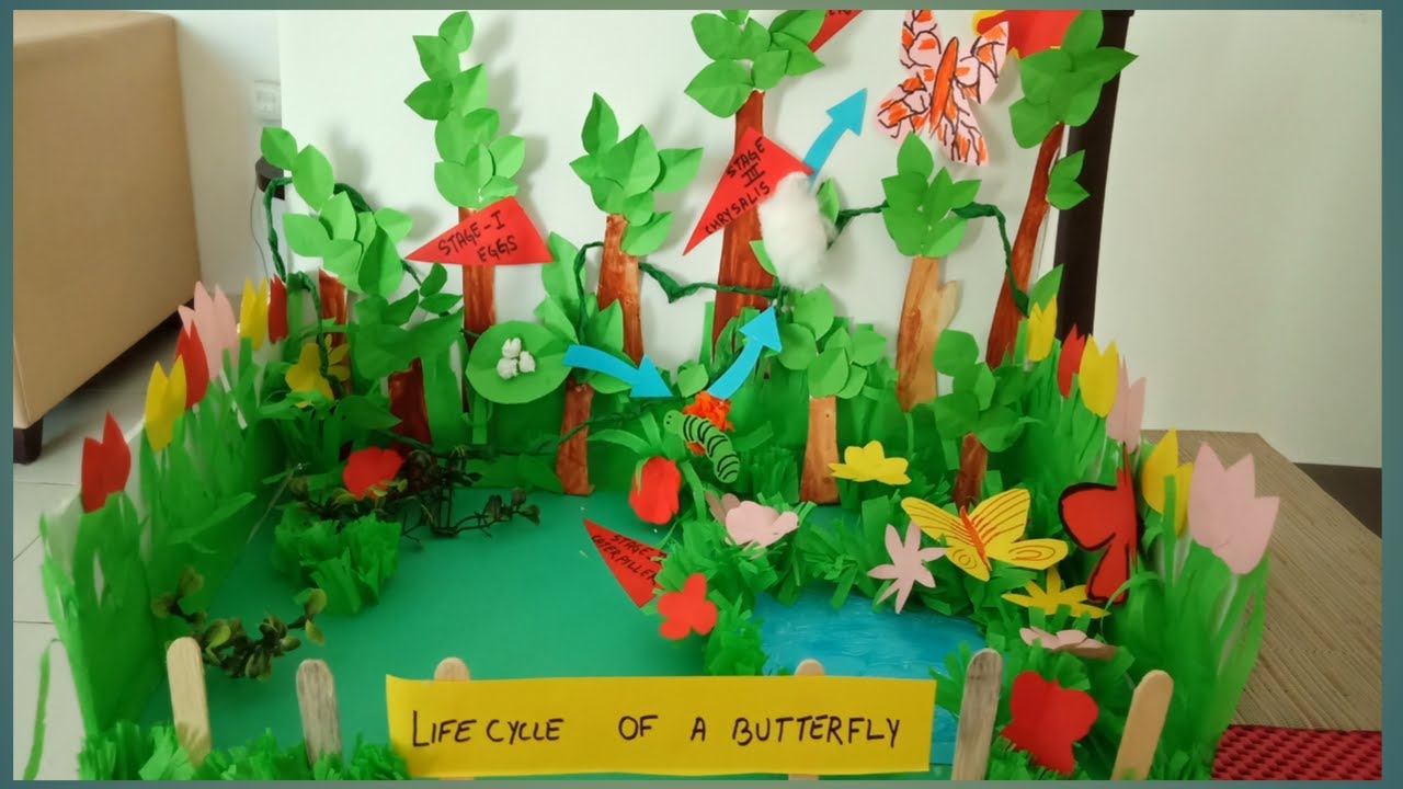 Lifecycle of a butterfly/ school project making/ school project with ...