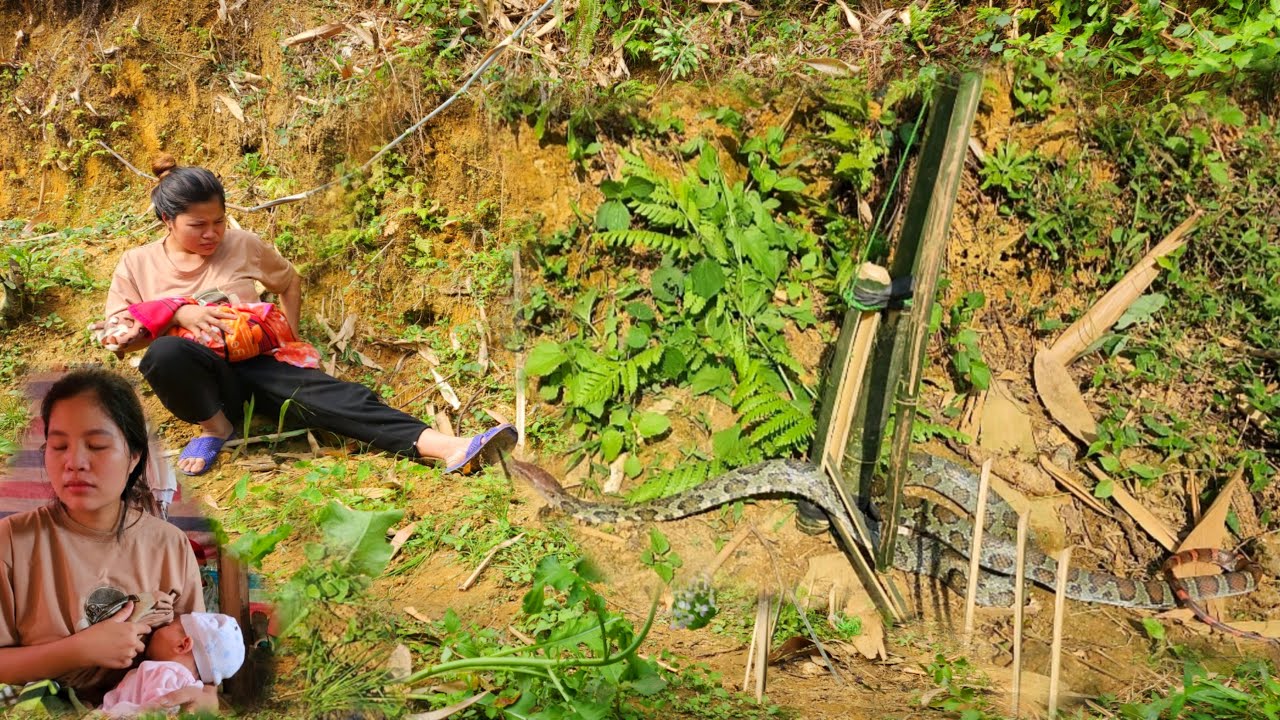 Single mother - Snake came,struggling to live alone with her child ...