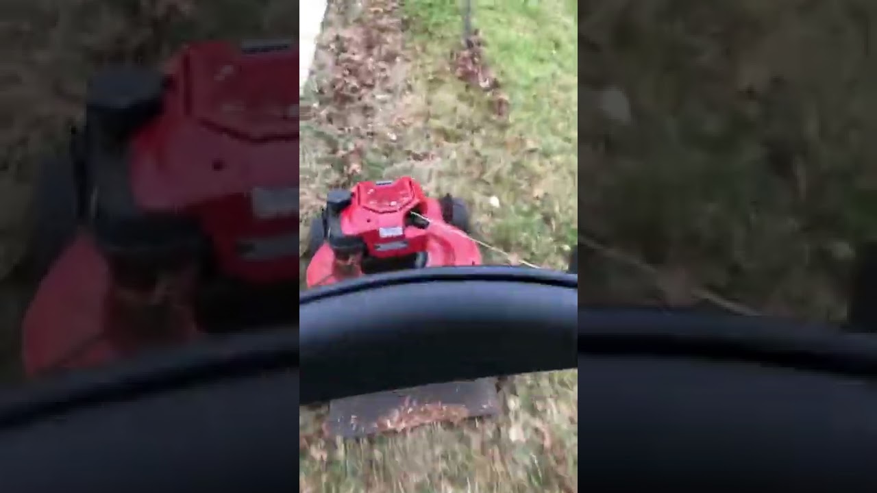 Mulching leaves l Toro Vortex - YouTube