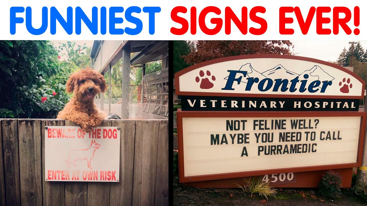 🤣FUNNIEST & DUMBEST🤪 Signs That People😄 Have Ever Seen...😱 - YouTube