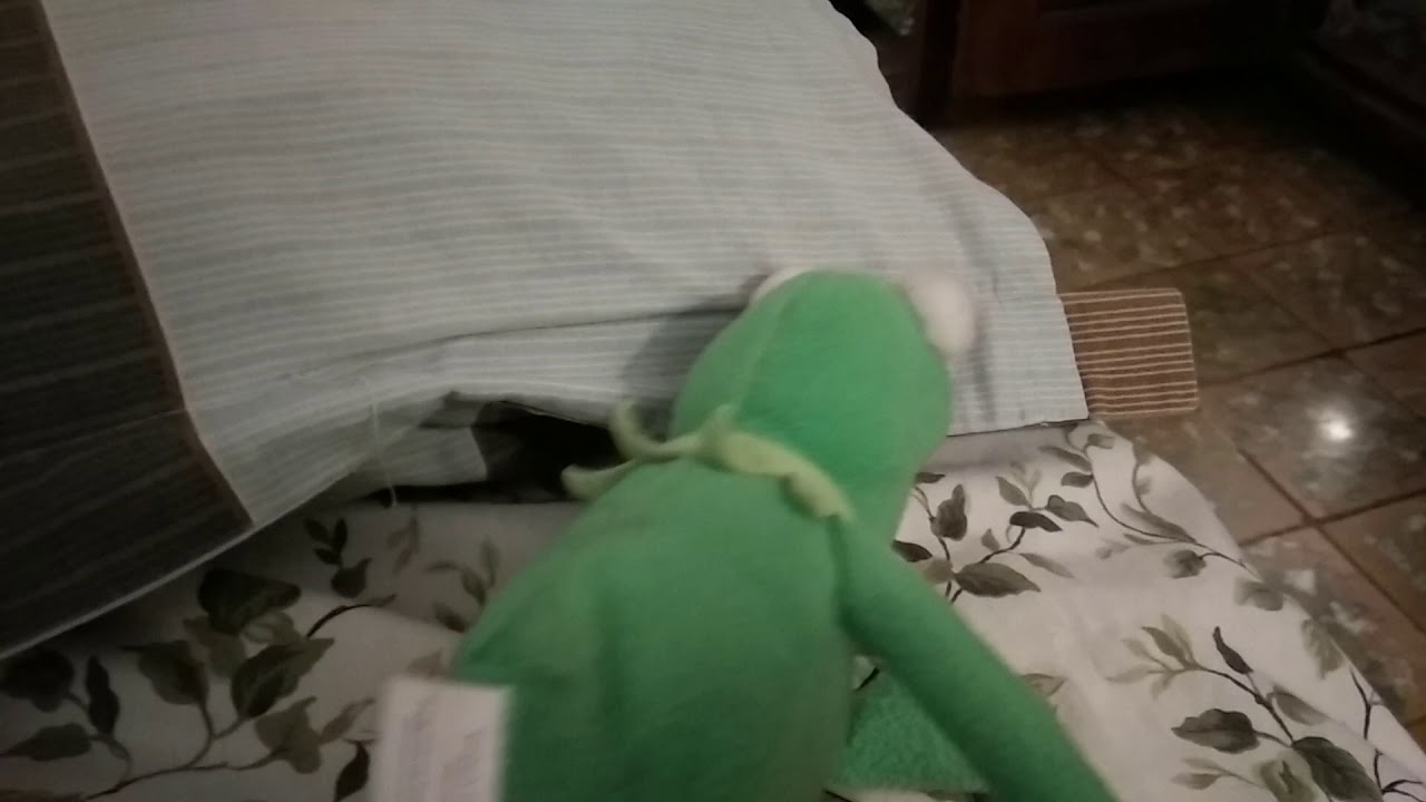 Kermit falls of the bed - YouTube