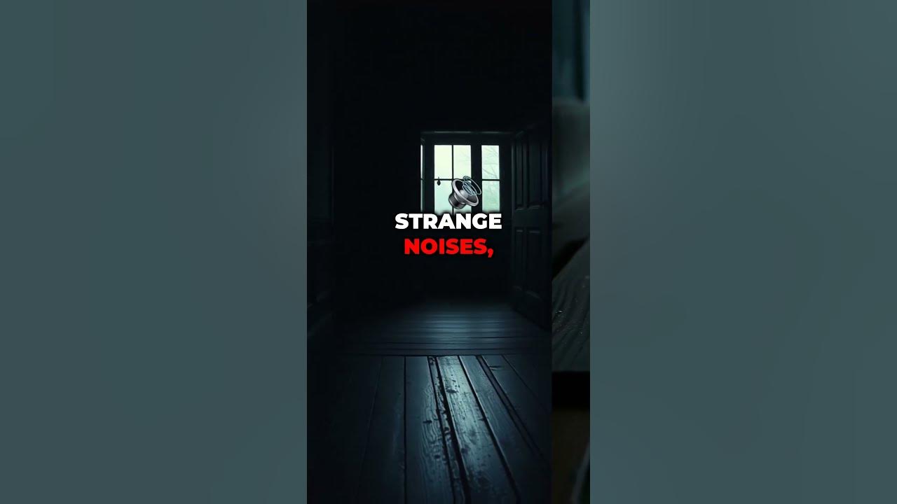 Secrets Beneath the Floorboards - YouTube