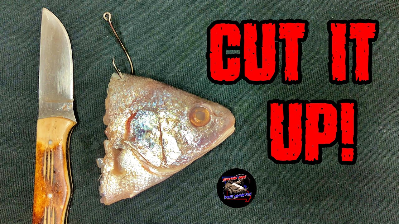 All the Ways to Use Cut Bait for Catfish! - YouTube